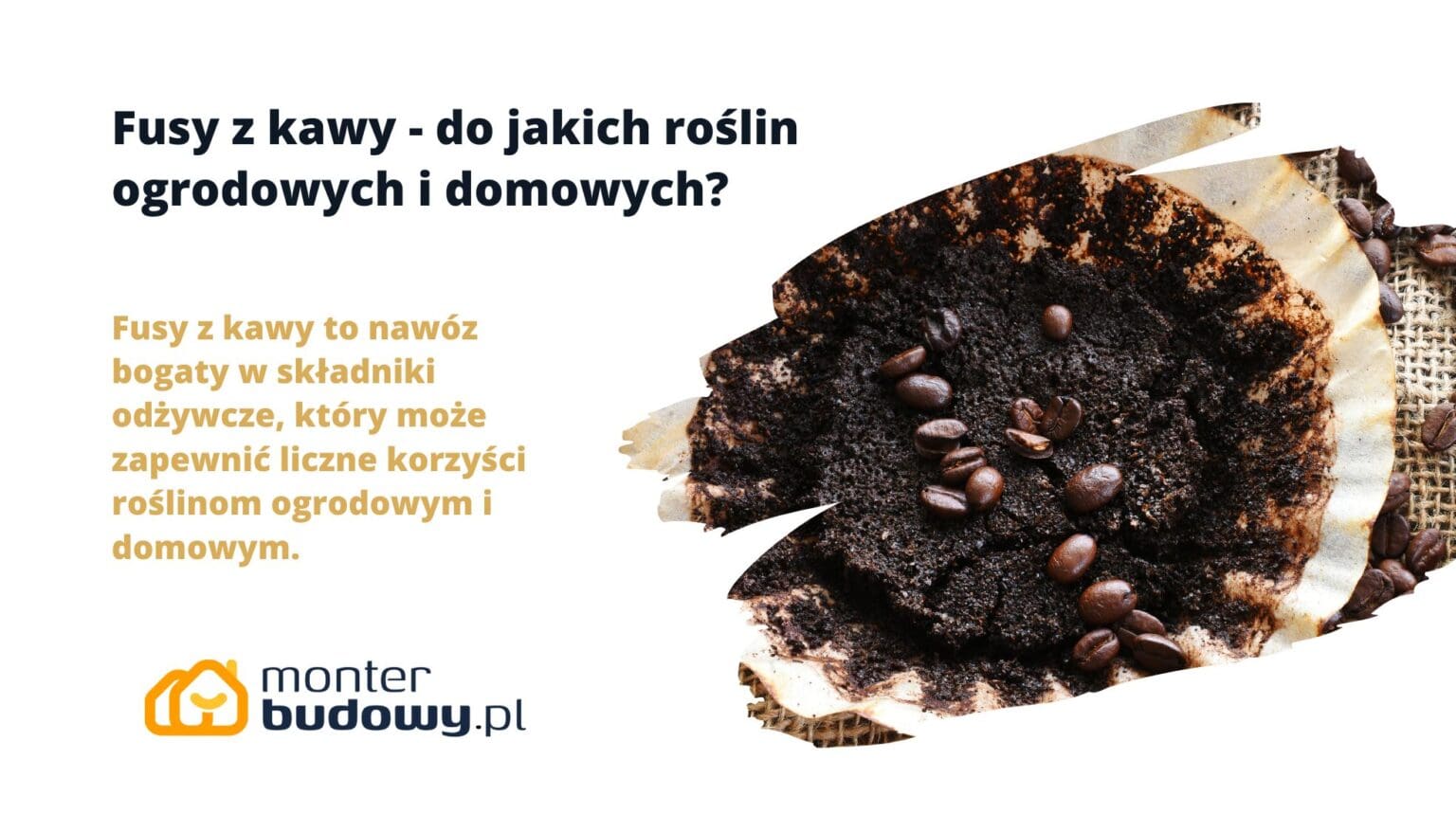 Fusy z kawy - do jakich roślin ogrodowych i domowych? - MonterBudowy.pl